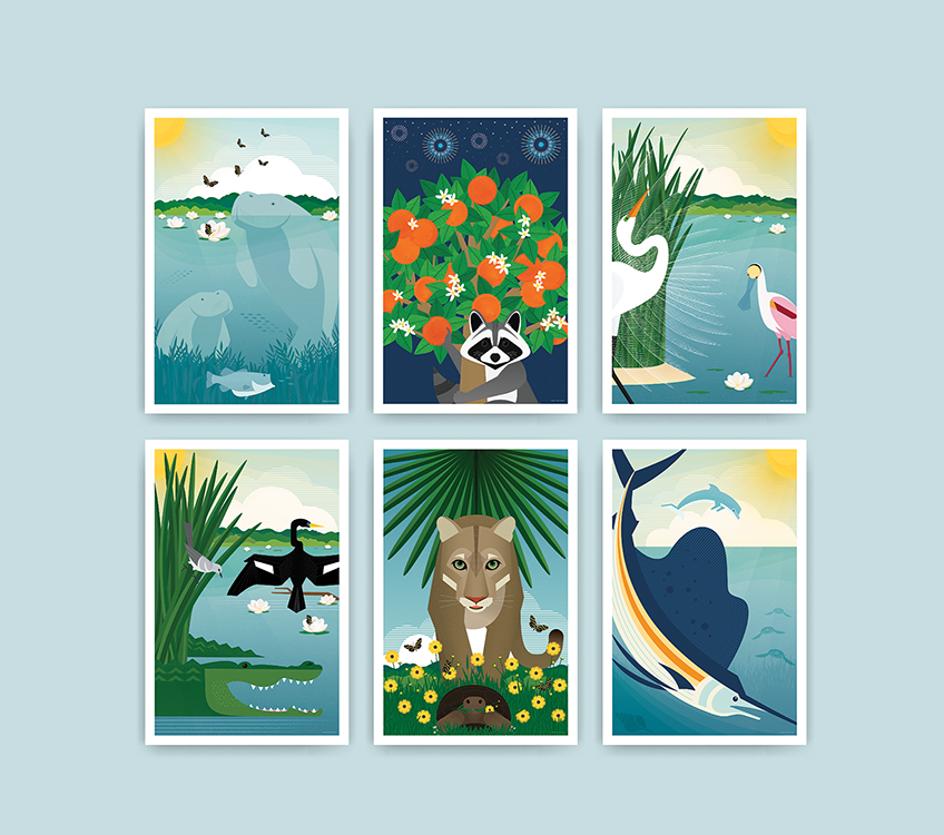 The Florida Symbols Card Set – Florida's History Shop